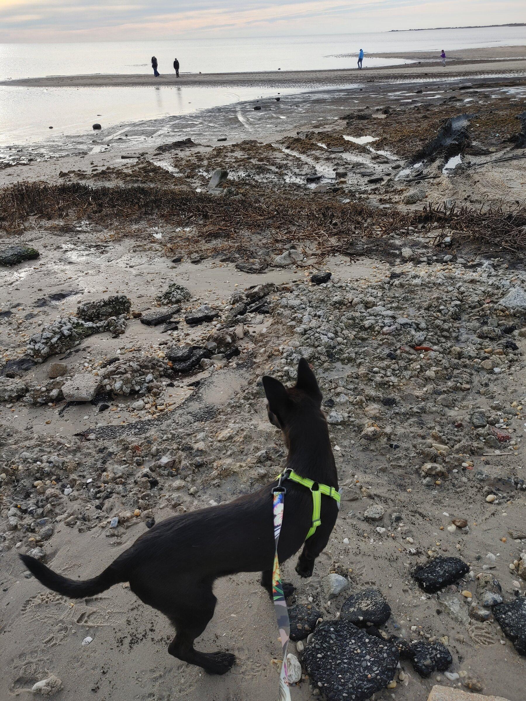 The Trans New Jersey Trail in a JT | Jeep Gladiator (JT) News, Forum ...