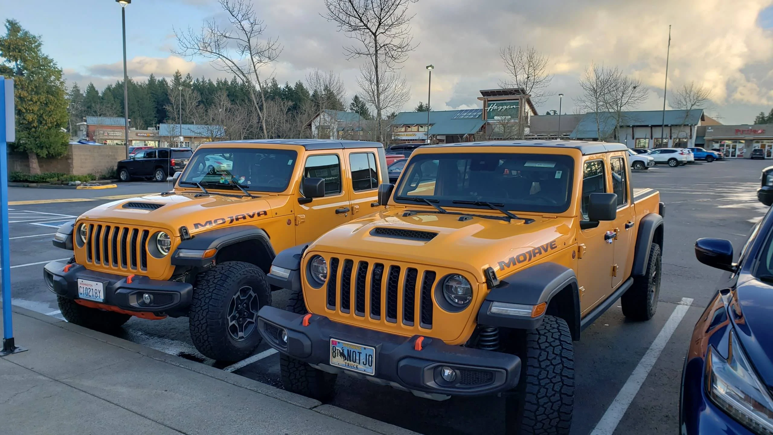 Rare colors | Page 2 | Jeep Gladiator (JT) News, Forum, Community ...