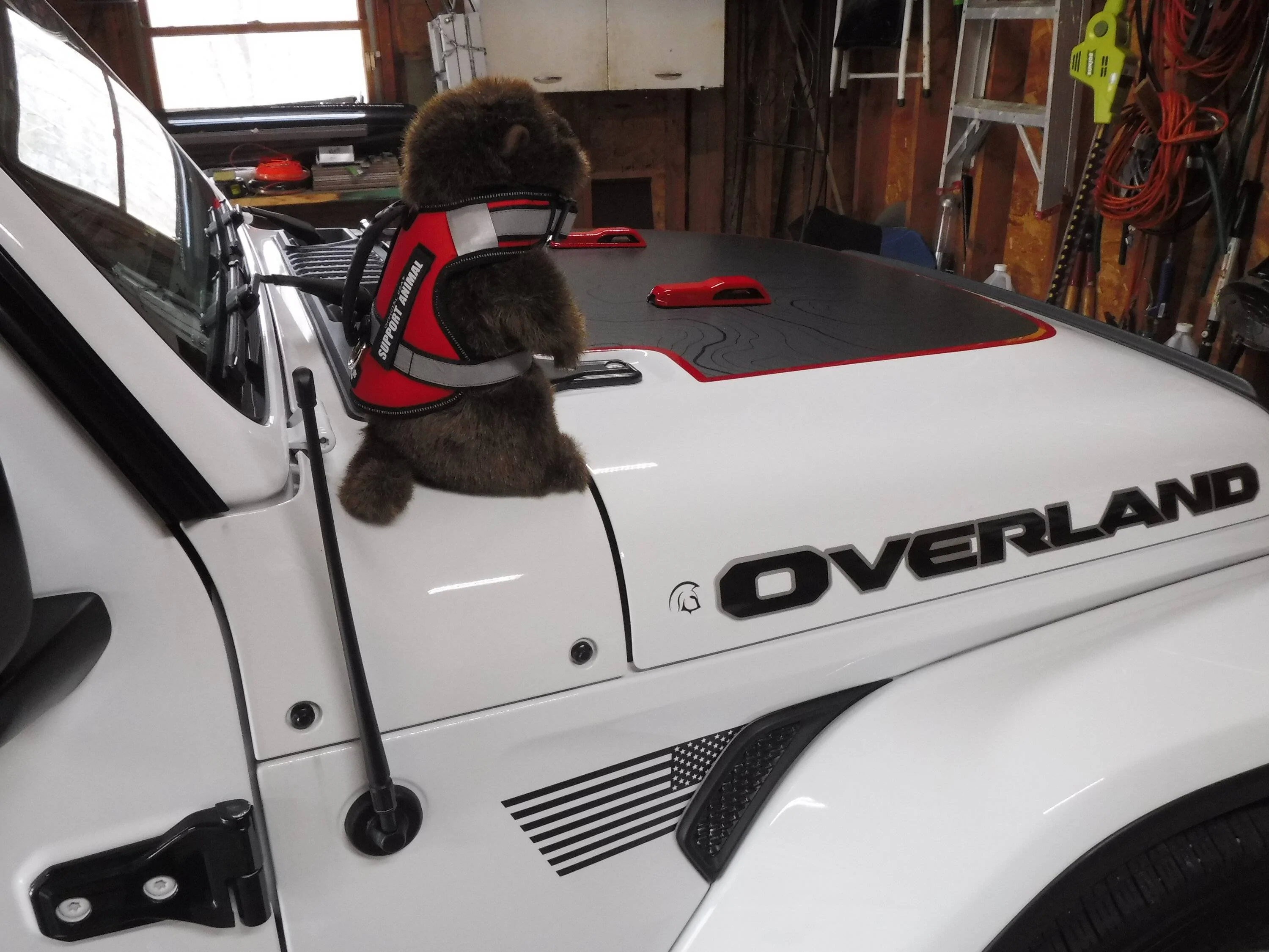 Jeep Jurassic Park Graphics Package Limited Edition Now Available to ...