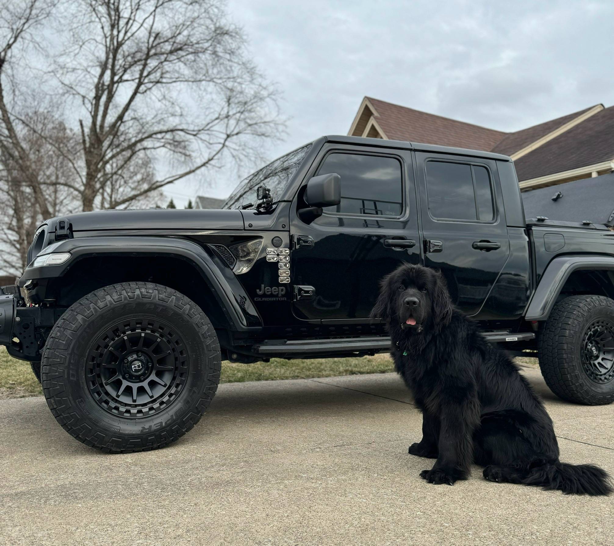 Let’s see your pets cause they are the best companion you can have ...