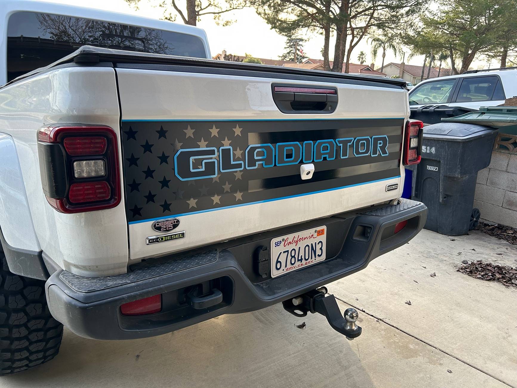 ‘Raised’ Tailgate Gladiator Lettering….. What do you have (from where ...