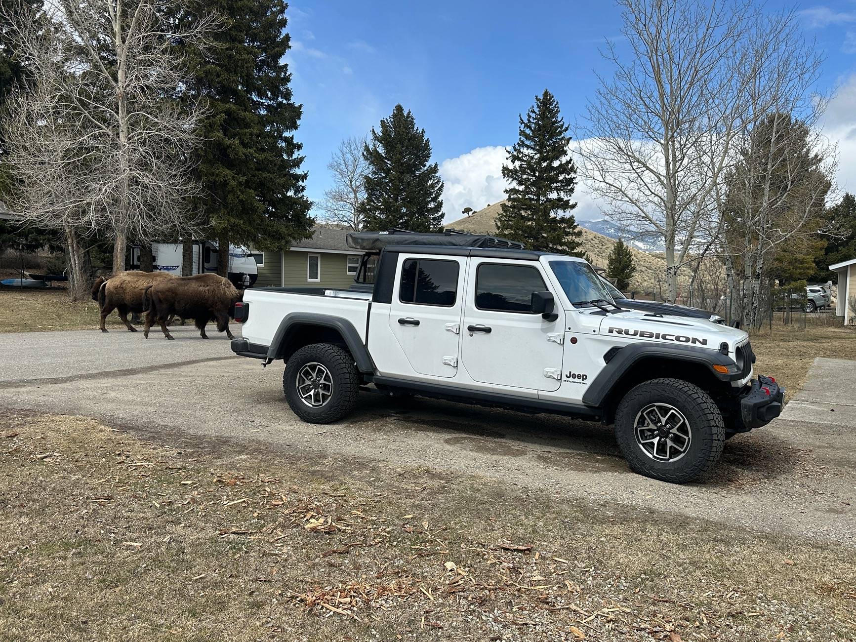 Installed my Letiner forged bed rack, CVT Mt hood tent, and decked ...